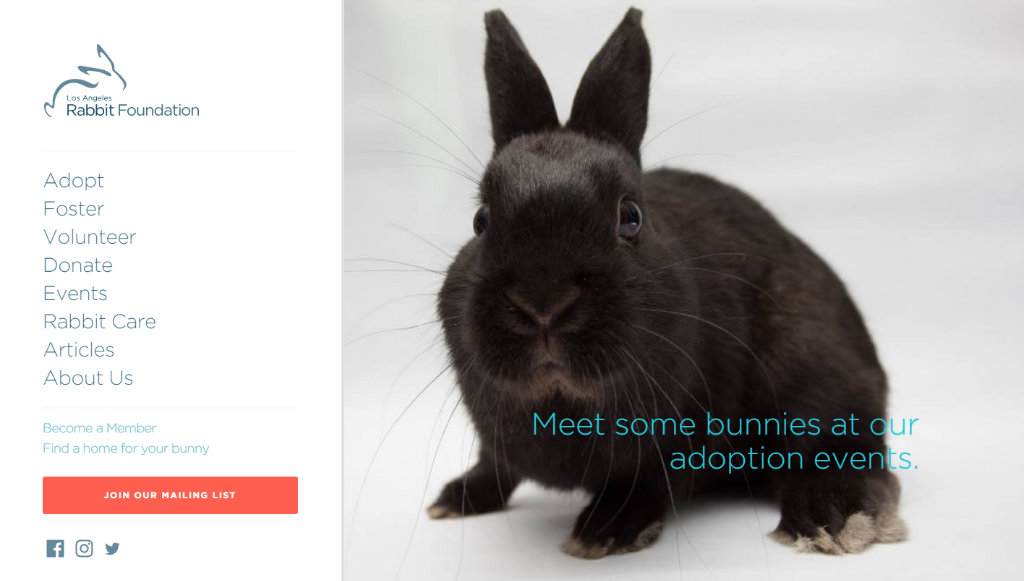 Adopt | Los Angeles Rabbits